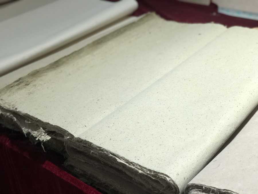 Craftsman uses panda poop for traditional papermaking-China Story